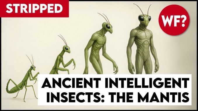 Mantis Overlords: Ancient Aliens or Earth’s Hidden Rulers? • Latest UFO ...